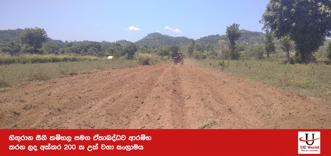Sugarcane Cultivation Project in Association with Gal Oya Plantations ...