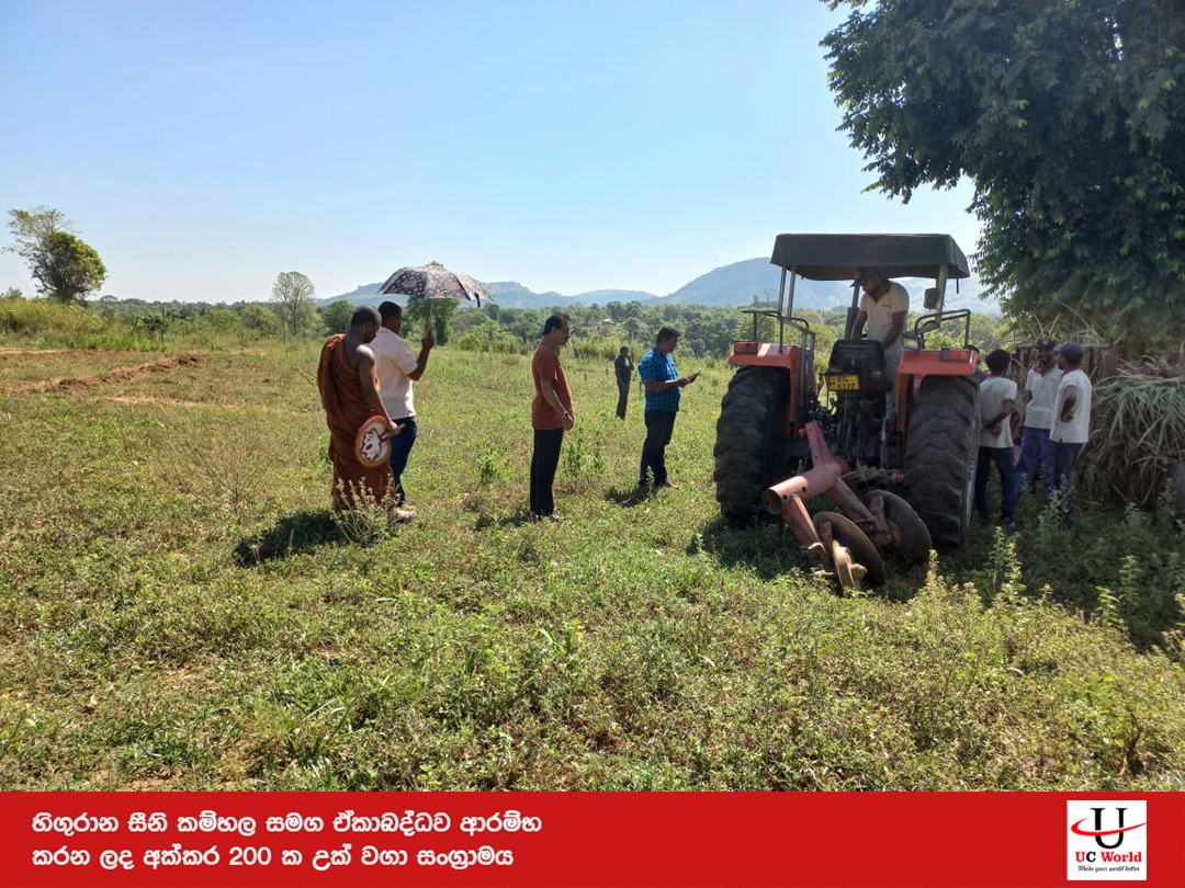 Sugarcane Cultivation Project in Association with Gal Oya Plantations ...