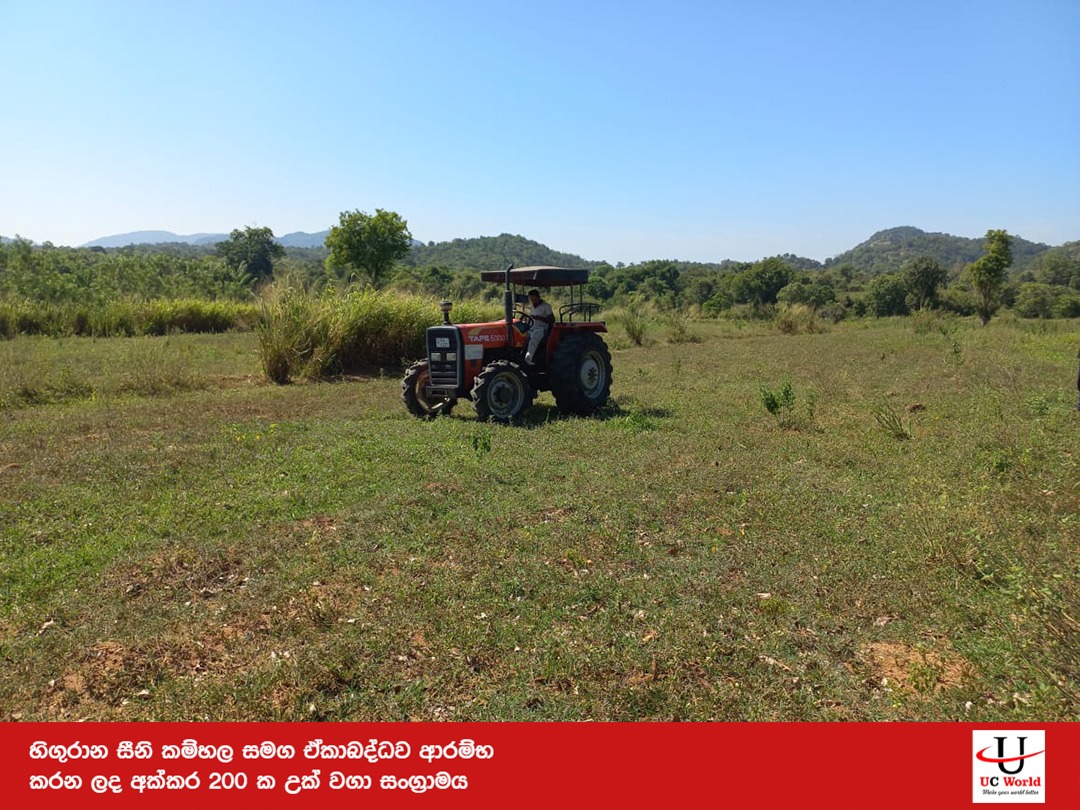 Sugarcane Cultivation Project in Association with Gal Oya Plantations ...