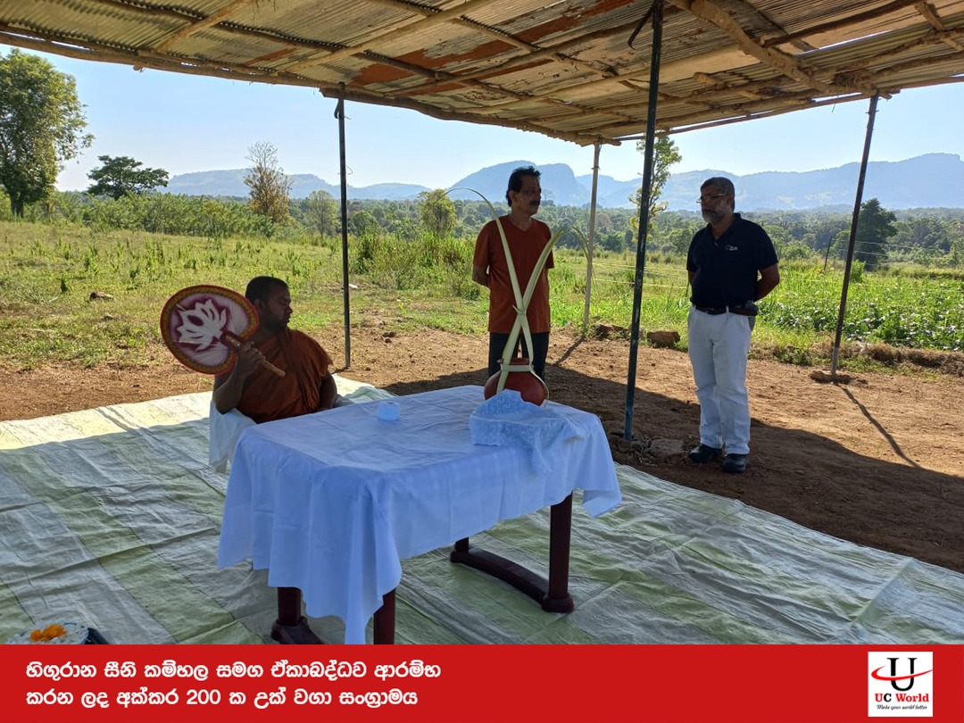 Sugarcane Cultivation Project in Association with Gal Oya Plantations ...