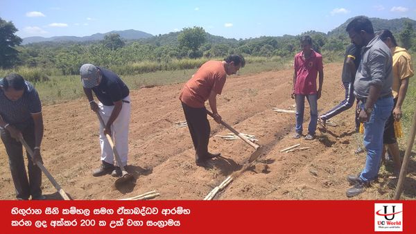 Sugarcane Cultivation Project in Association with Gal Oya Plantations ...